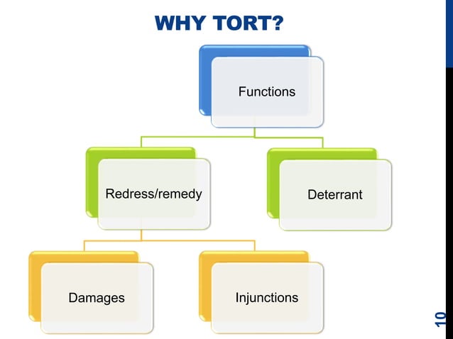 1. OVERVIEW ON THE LAW OF TORT.pptx