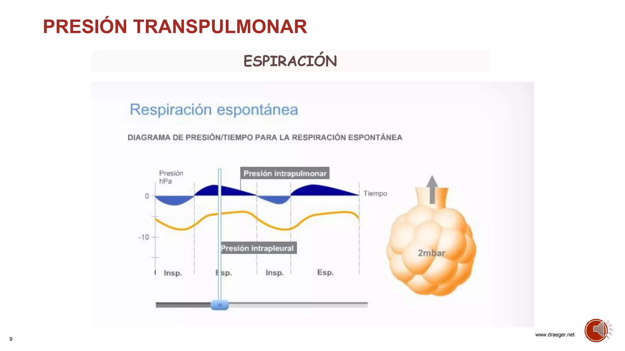 1.5 Fisiologia respiratoria en ventilacion mecanica. Efecto de la ...