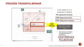 1.5 Fisiologia respiratoria en ventilacion mecanica. Efecto de la ...