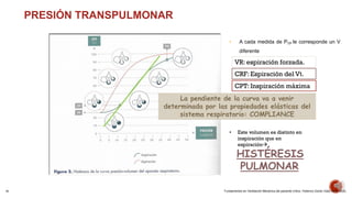 1.5 Fisiologia respiratoria en ventilacion mecanica. Efecto de la ...