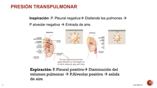 1.5 Fisiologia respiratoria en ventilacion mecanica. Efecto de la ...