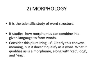 1. level of language study.pptx
