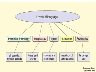 1. level of language study.pptx