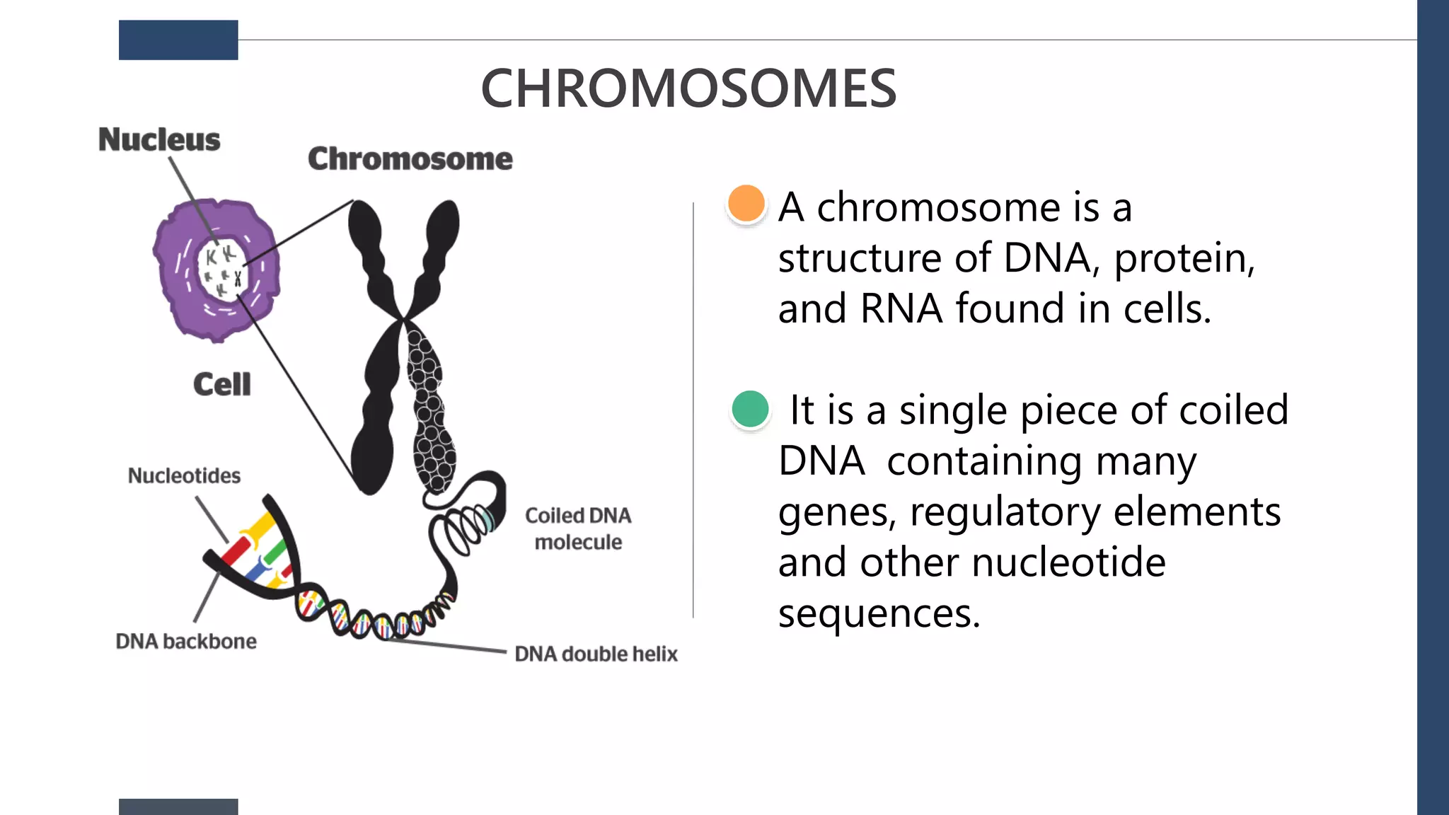 1. Introduction+Stucture of gene.pptx