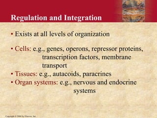 1.functional organisation of human body and the control of t.ppt
