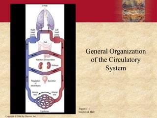 1.functional organisation of human body and the control of t.ppt