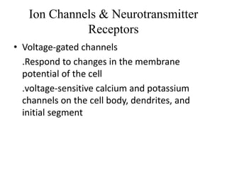 1.Intro to Pharmacology of CNS Drugs.pptx
