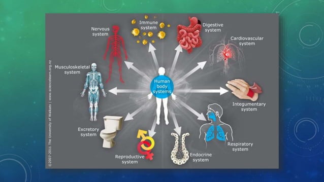 1. Structural- Functionalism.pptx