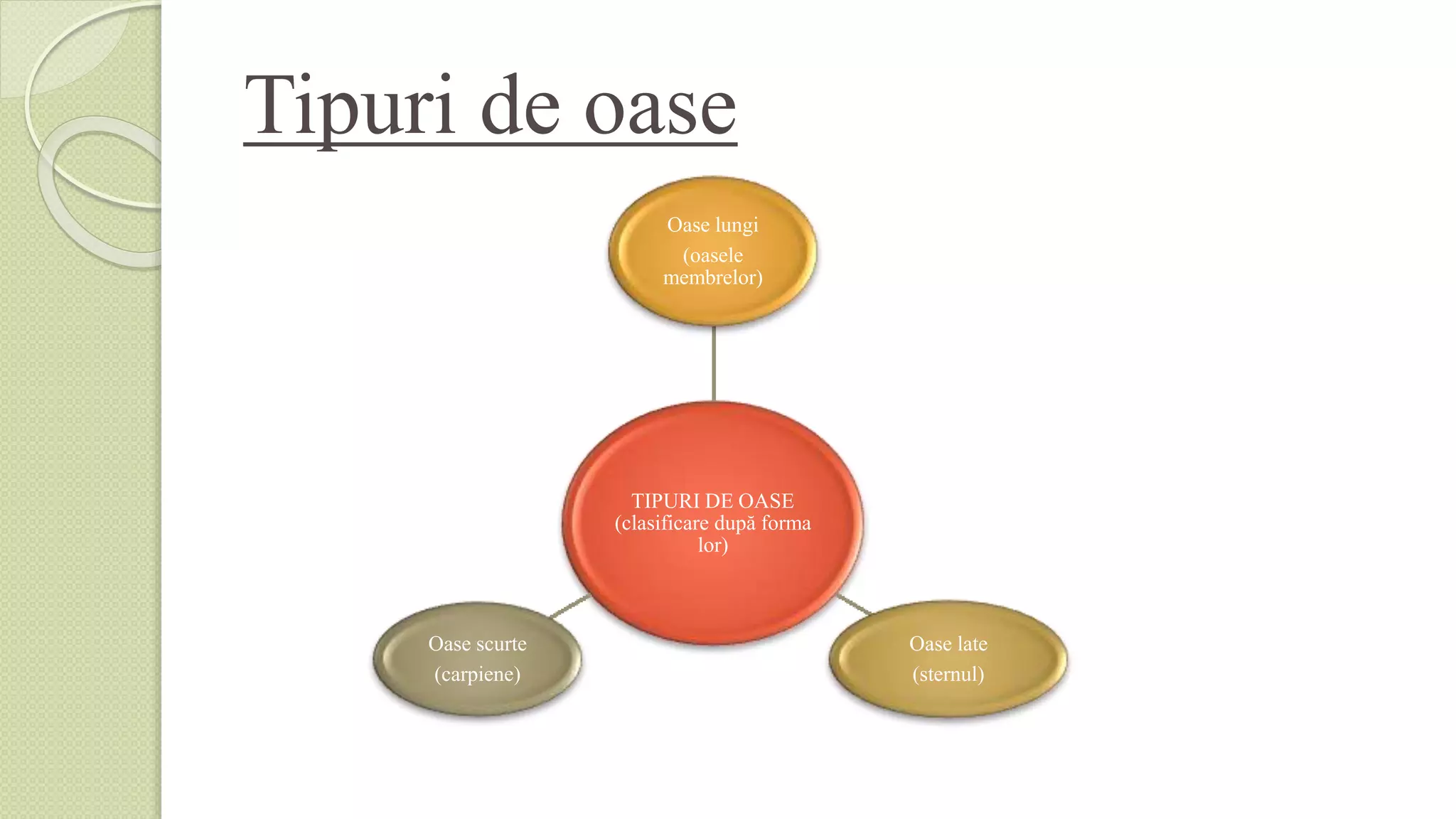 1. sistemul locomotor.pptx