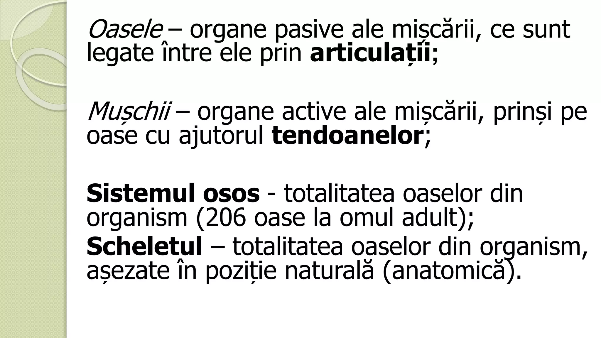 1. sistemul locomotor.pptx