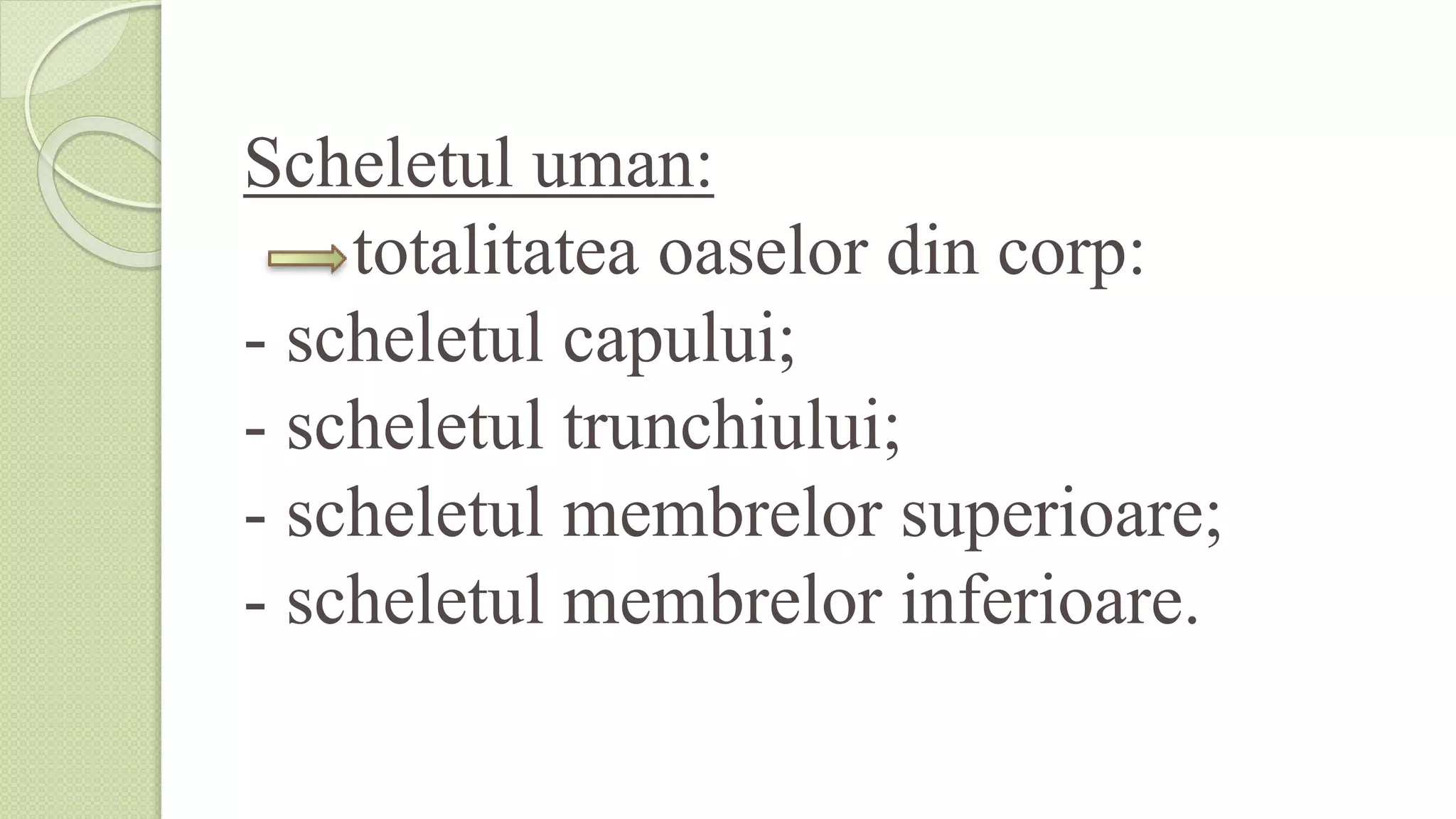 1. sistemul locomotor.pptx