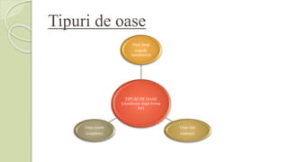 1. sistemul locomotor.pptx