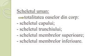 1. sistemul locomotor.pptx