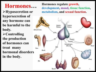 1.6. Anatomy-Endocrine-System.ppt