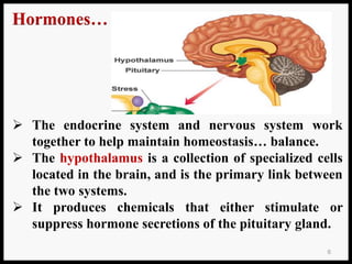 1.6. Anatomy-Endocrine-System.ppt