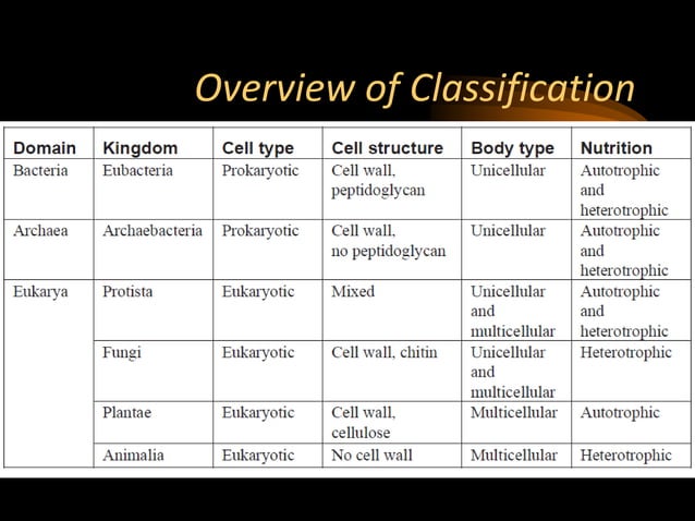1. Classification Notes.ppt