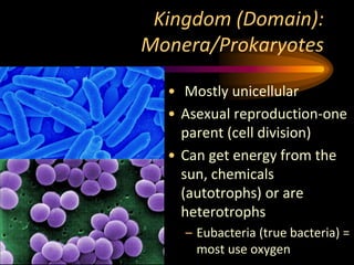 1. Classification Notes.ppt