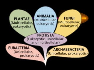 1. Classification Notes.ppt