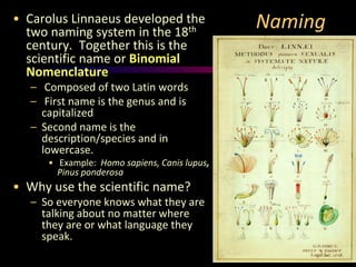 1. Classification Notes.ppt