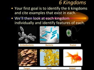 1. Classification Notes.ppt