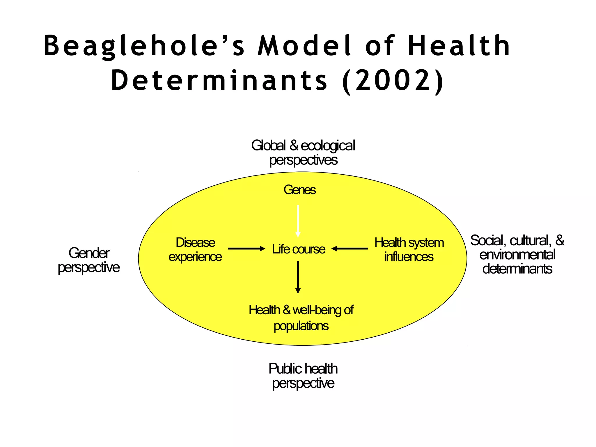 1. DETRMINAN KESEHATAN.pptx