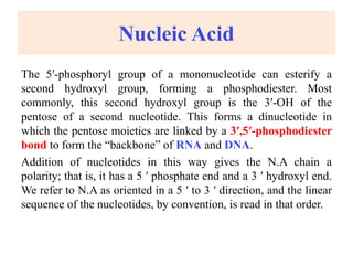 1.1 Nucleic Acid Chemistry.pdf