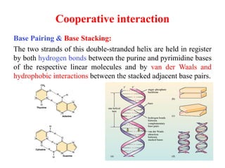 1.1 Nucleic Acid Chemistry.pdf