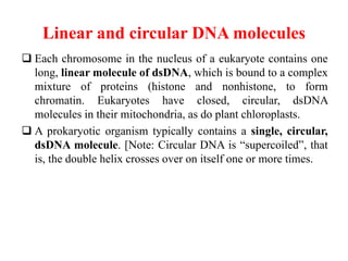 1.1 Nucleic Acid Chemistry.pdf