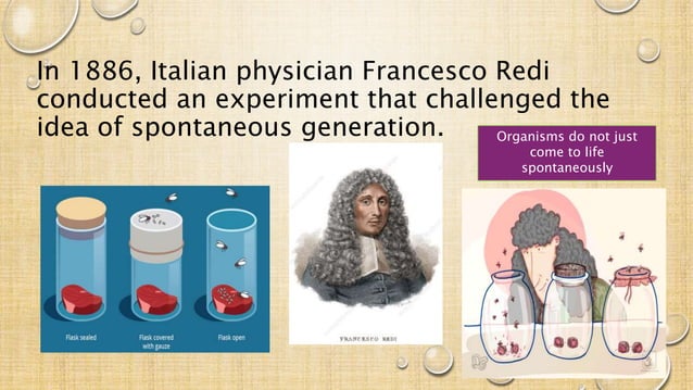 The Origin of the First Life Forms.pptx