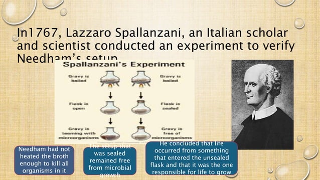 The Origin of the First Life Forms.pptx