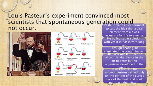 The Origin of the First Life Forms.pptx