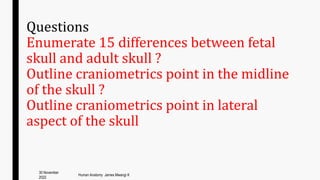 1.Head and neck -Osteology.pdf