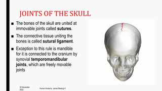 1.Head and neck -Osteology.pdf