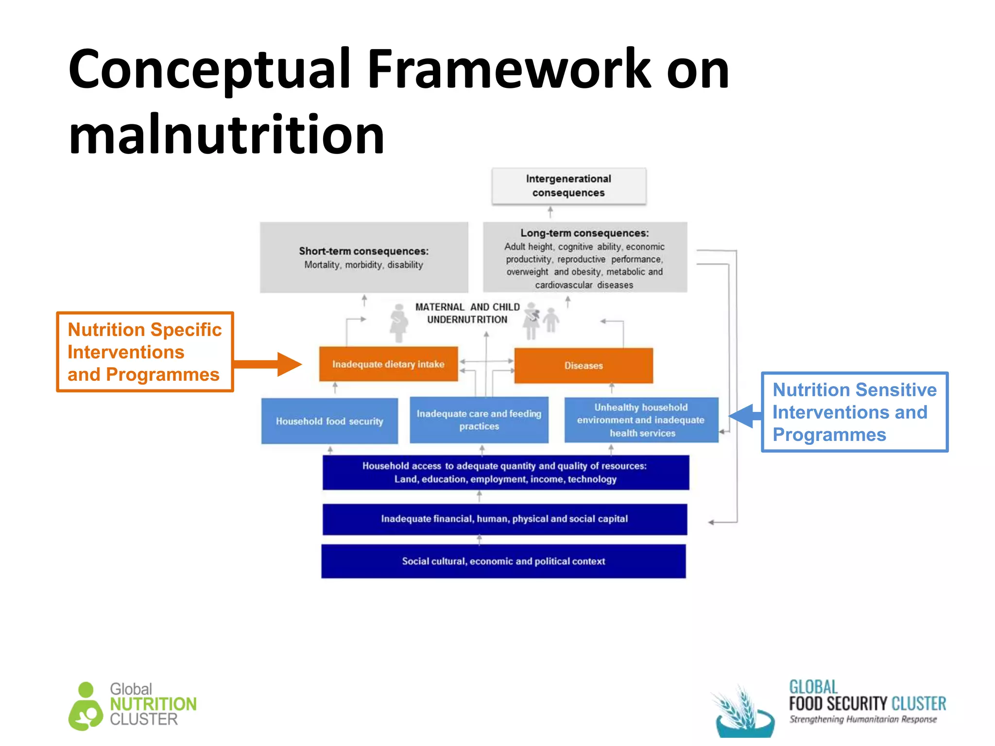 1.4 PPT- Integrated Programming - Nutrition Specific and Sensitive ...