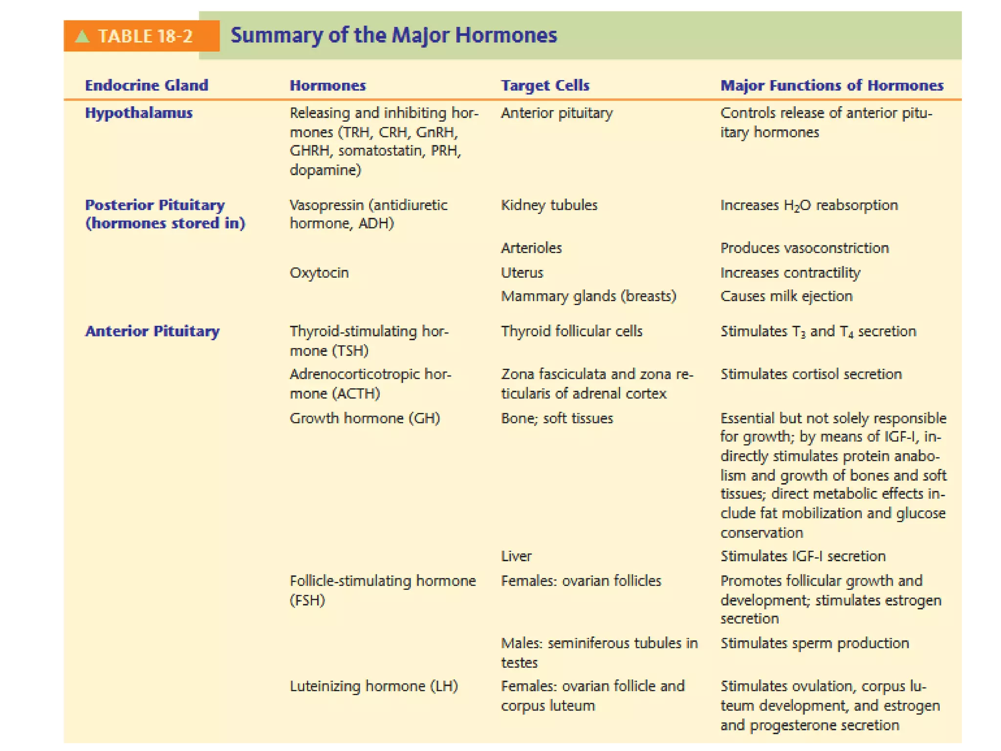 1.SISTEM ENDOKRIN - 1.pdf