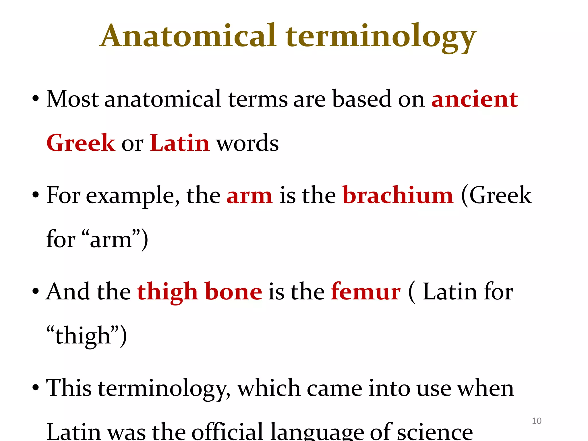 1. Introduction to Human Anatomy.pptx