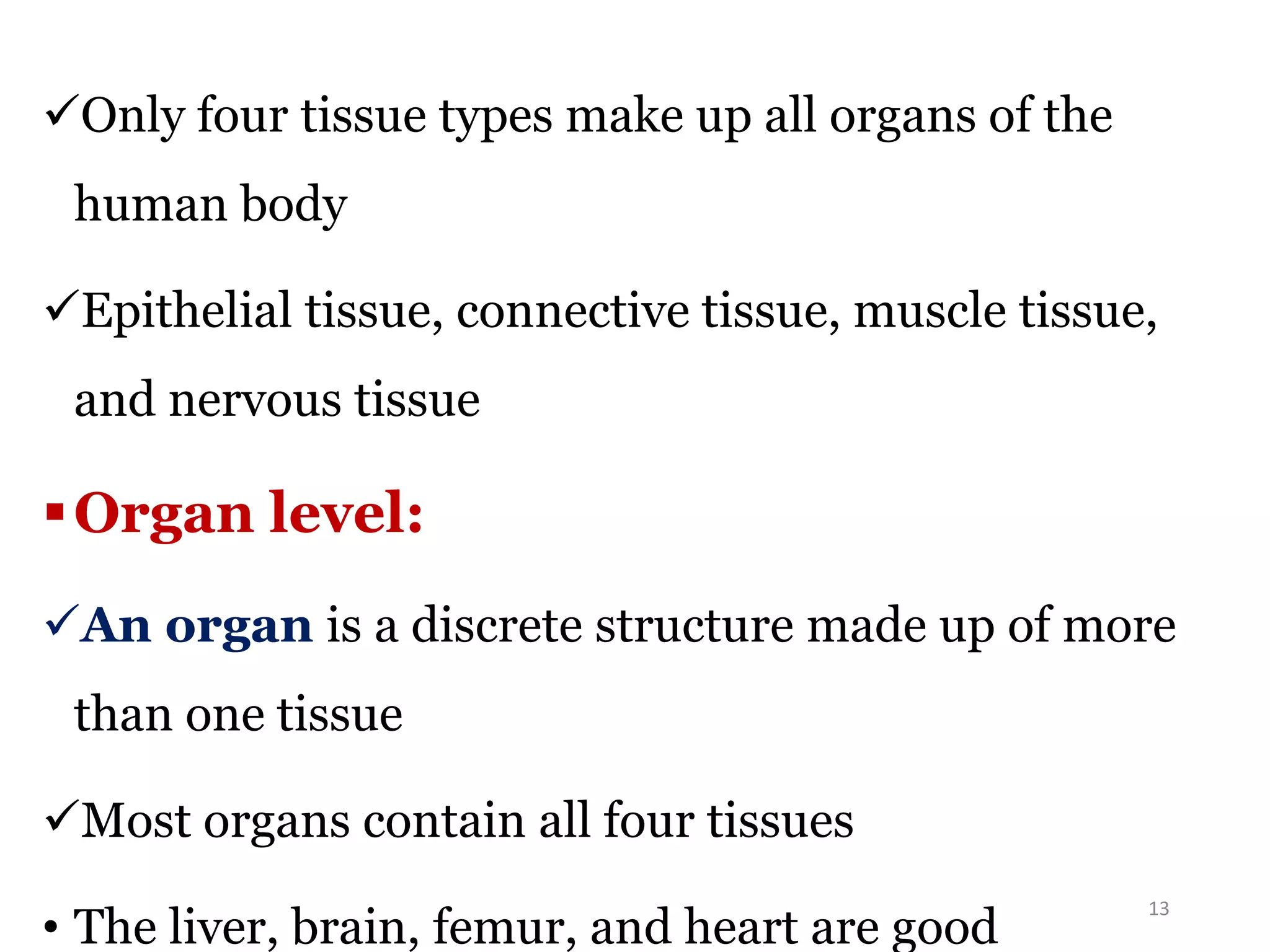 1. Introduction to Human Anatomy.pptx