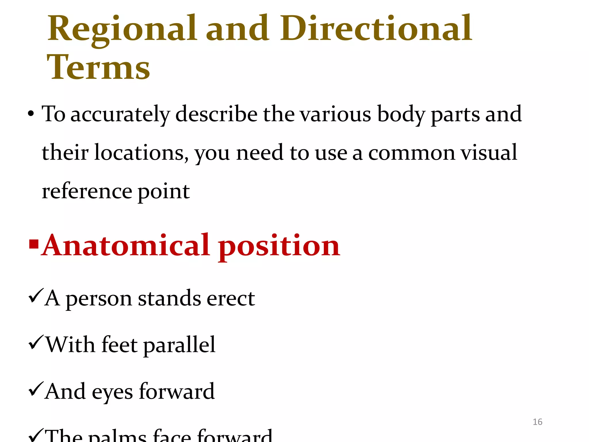 1. Introduction to Human Anatomy.pptx