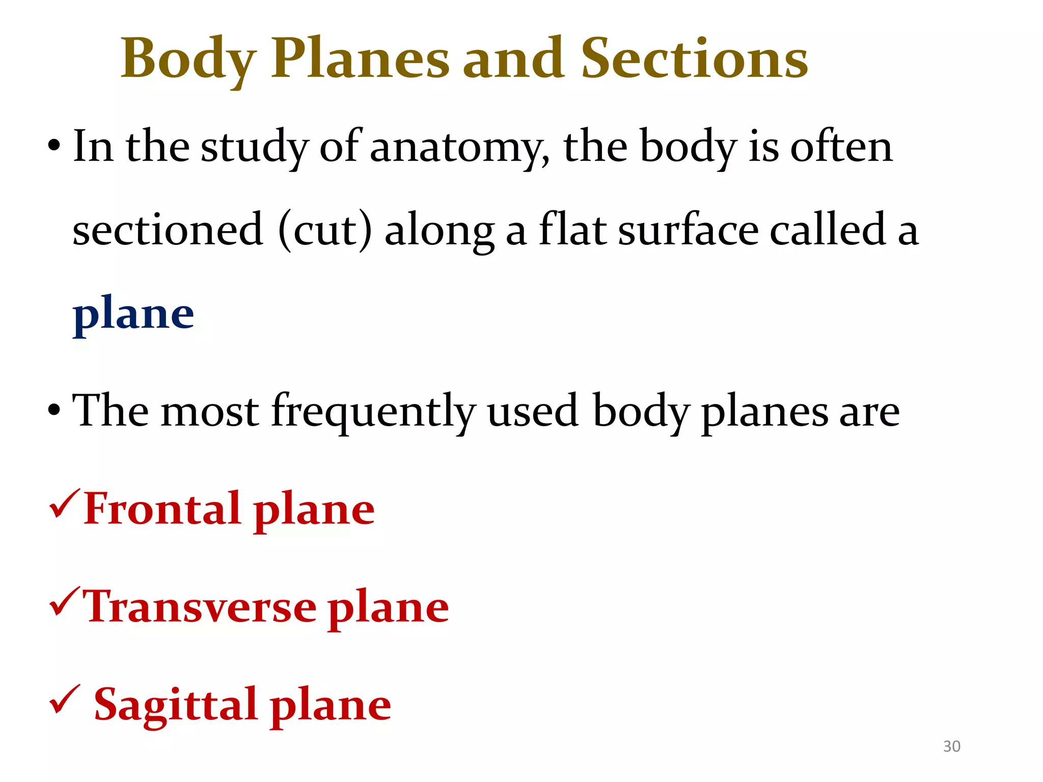 1. Introduction to Human Anatomy.pptx