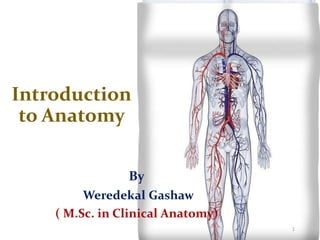 1. Introduction to Human Anatomy.pptx