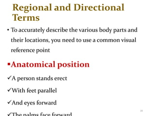 1. Introduction to Human Anatomy.pptx