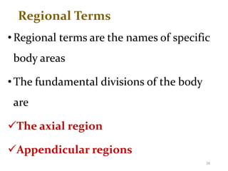 1. Introduction to Human Anatomy.pptx