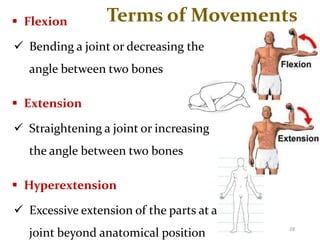 1. Introduction to Human Anatomy.pptx