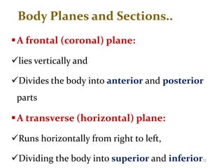 1. Introduction to Human Anatomy.pptx