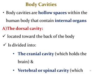 1. Introduction to Human Anatomy.pptx