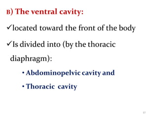 1. Introduction to Human Anatomy.pptx