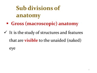 1. Introduction to Human Anatomy.pptx
