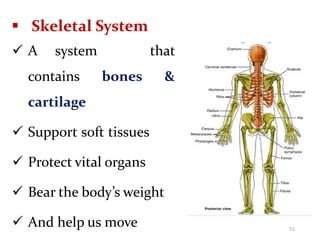 1. Introduction to Human Anatomy.pptx