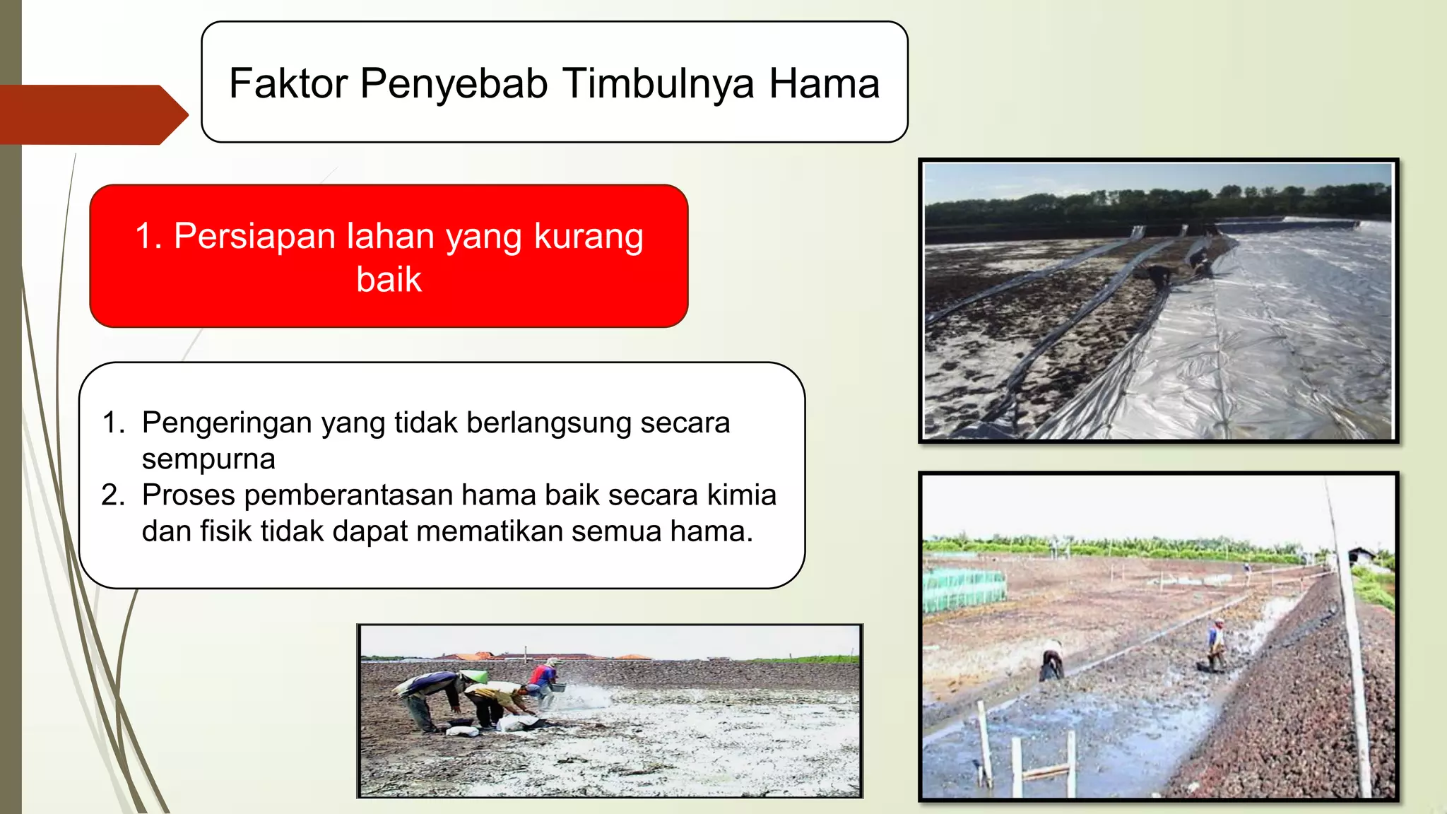 1. Hama Pada Ikan.pdf