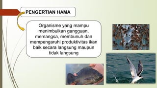 1. Hama Pada Ikan.pdf